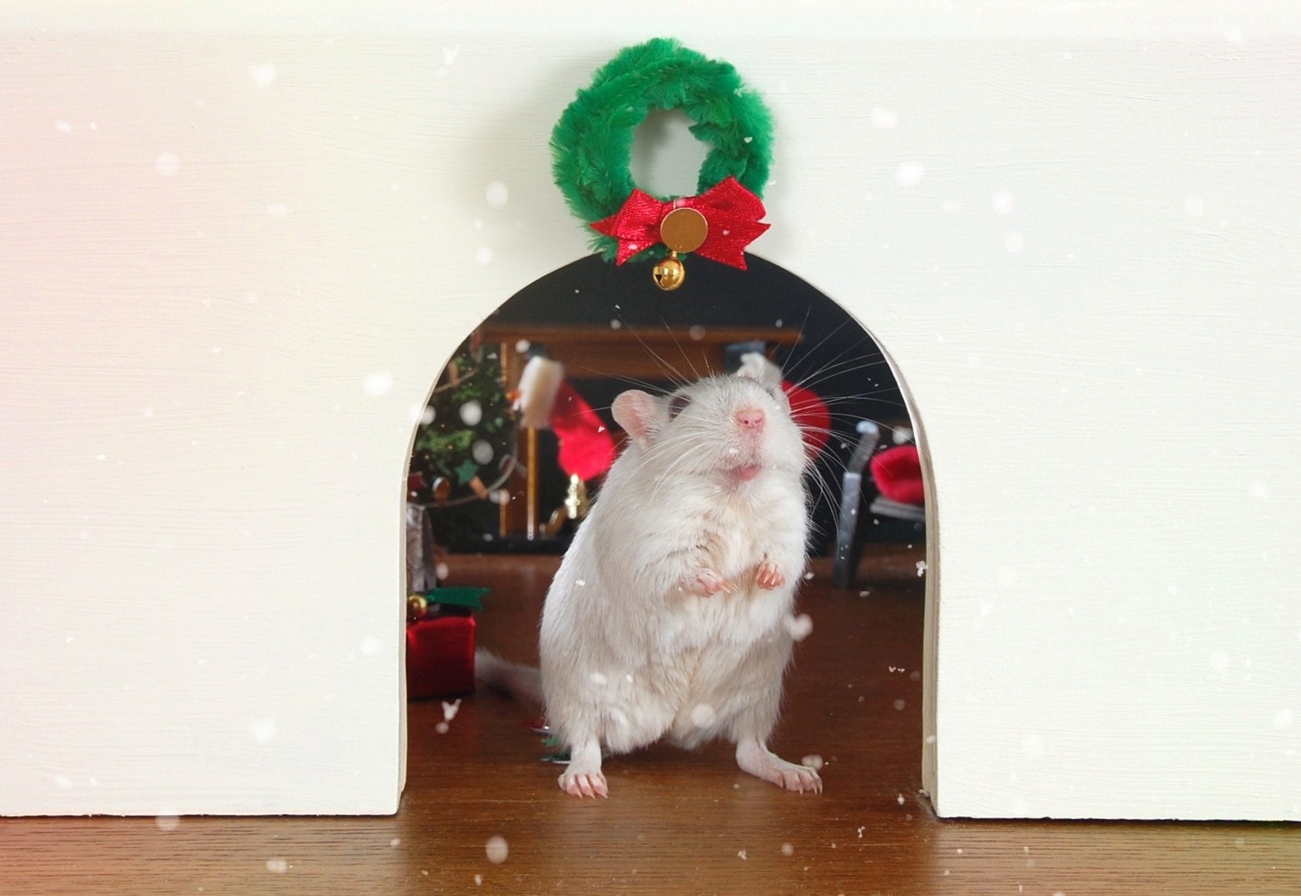 Keep Pesky Pests Away This Holiday Season - Hoffman's Exterminating ...