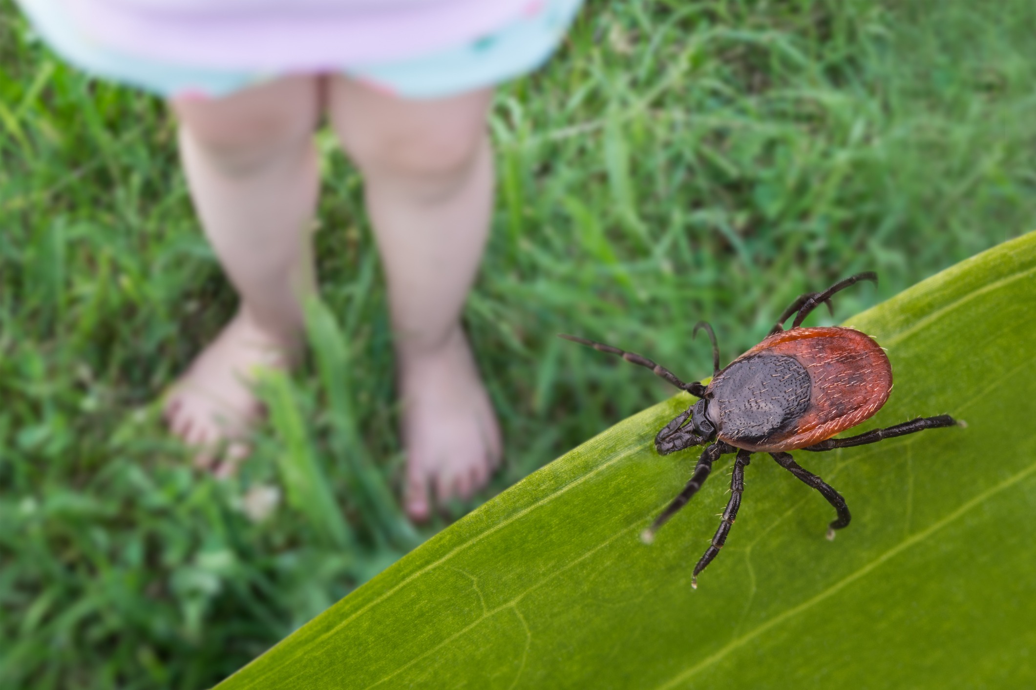 Protect Yourself From Ticks and Tick-Borne Diseases When Outdoors ... Protect Yourself From Ticks and Tick-Borne Diseases When Outdoors ...